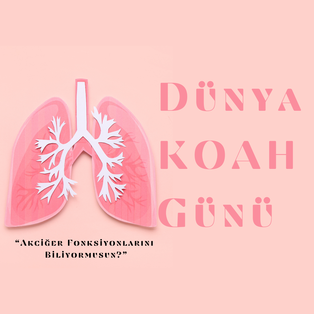KOAH Hastaları Derneği | 2024 Dünya KOAH Günü Basın Bildirisi